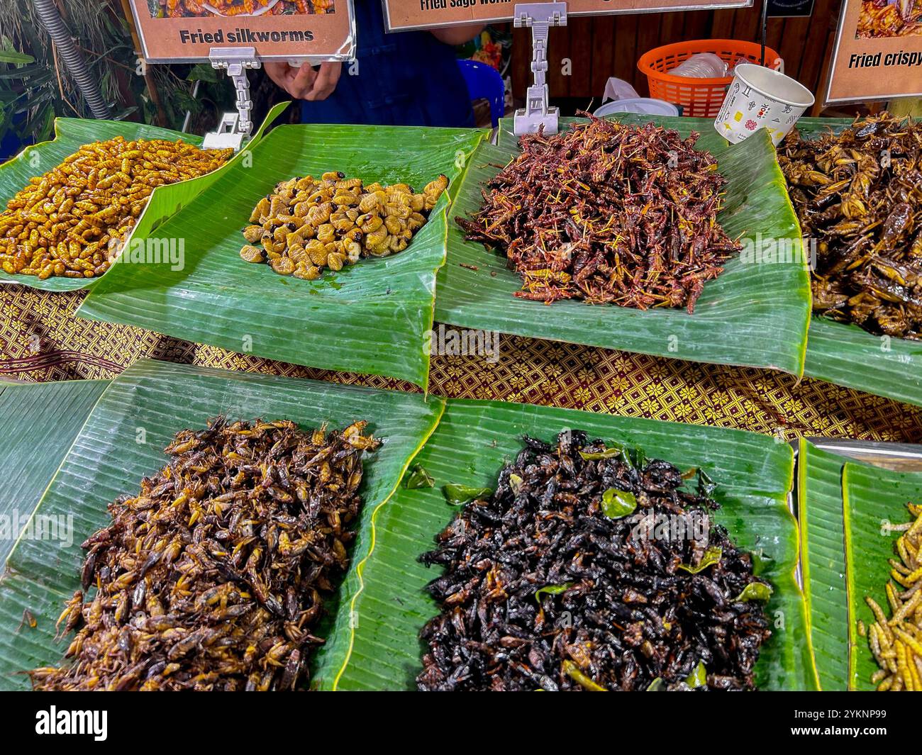 Bangkok, Thailand, Close up, Modern Shopping Center, I »Consiam", THai ...