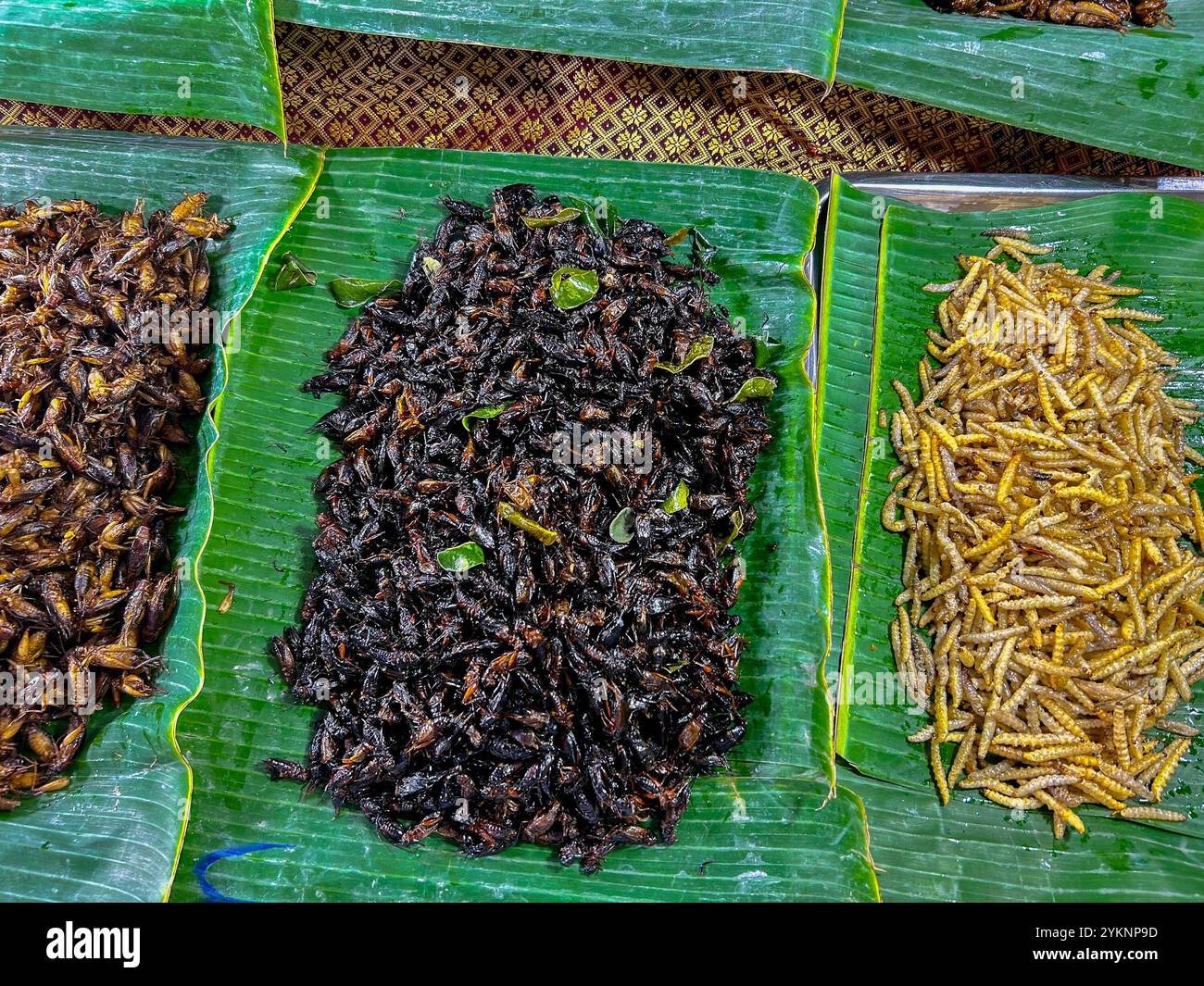 Bangkok, Thailand, Close up, Modern Shopping Center, I »Consiam", THai ...