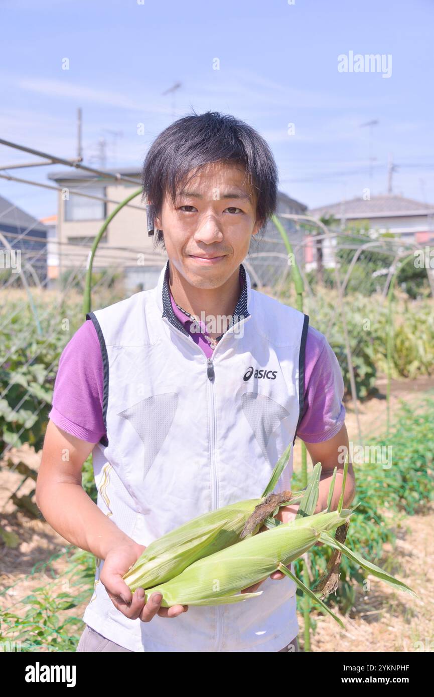 One corn hi-res stock photography and images - Alamy