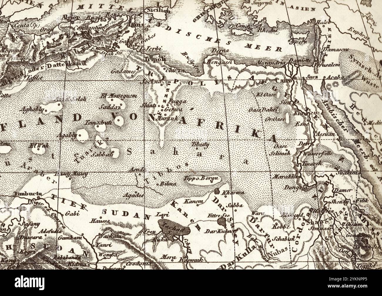 A mid 19th century antique map in sepia showing the Sahara region of ...