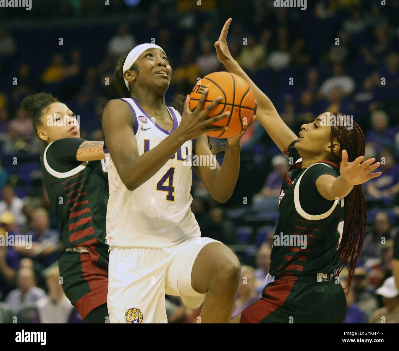 Baton Rouge, United States. 18th Nov, 2024. LSU Lady Tigers guard Flau ...