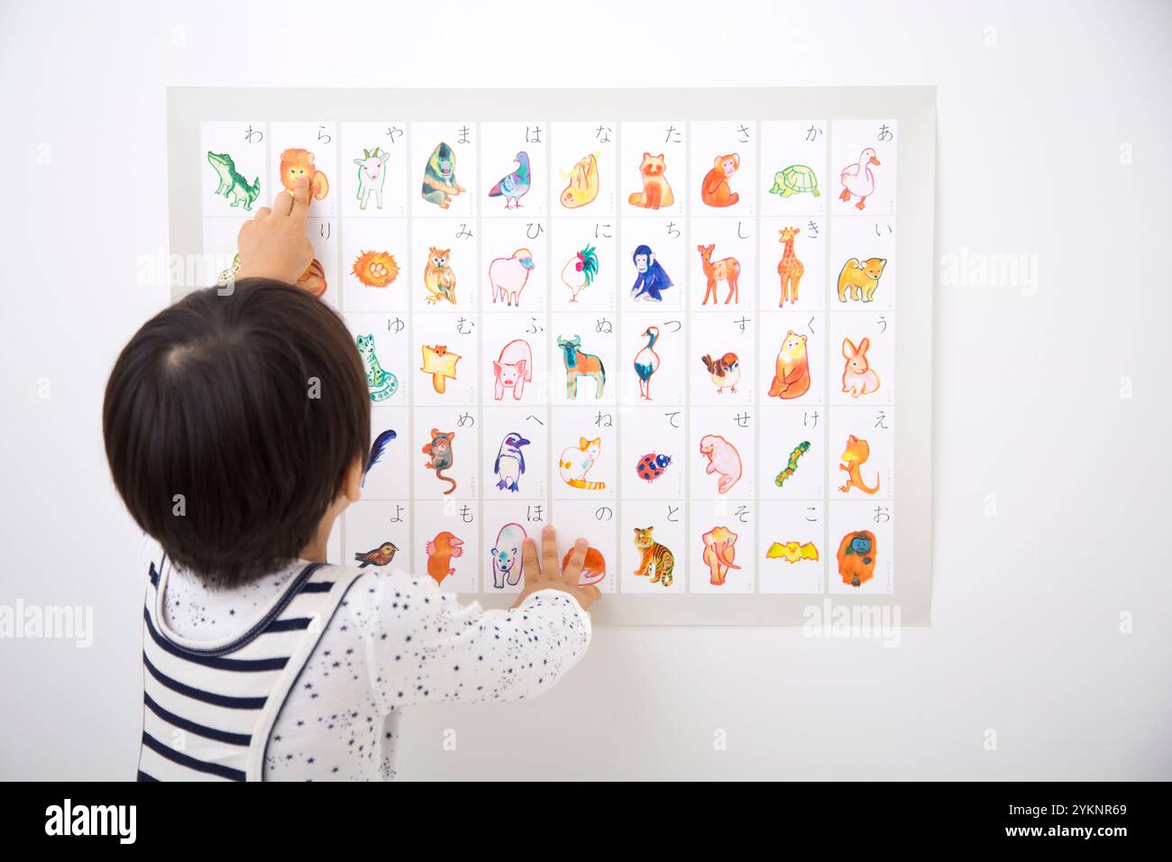 Boy pointing at the Aiueo chart Stock Photo - Alamy