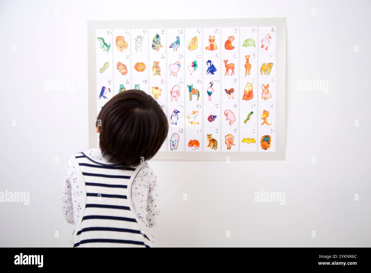Boy looking at the aiueo chart Stock Photo - Alamy