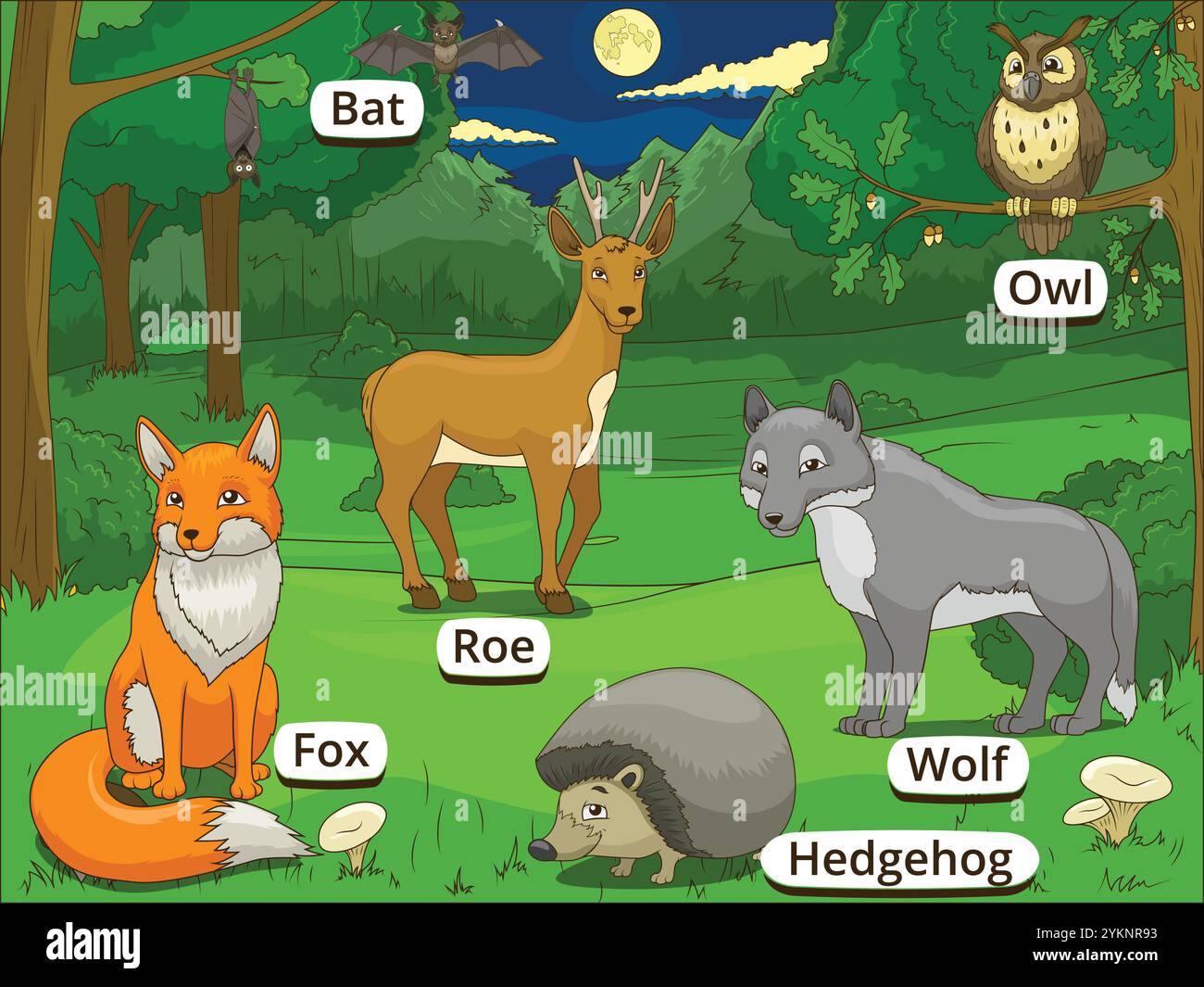 Hedgehog names hi-res stock photography and images - Alamy