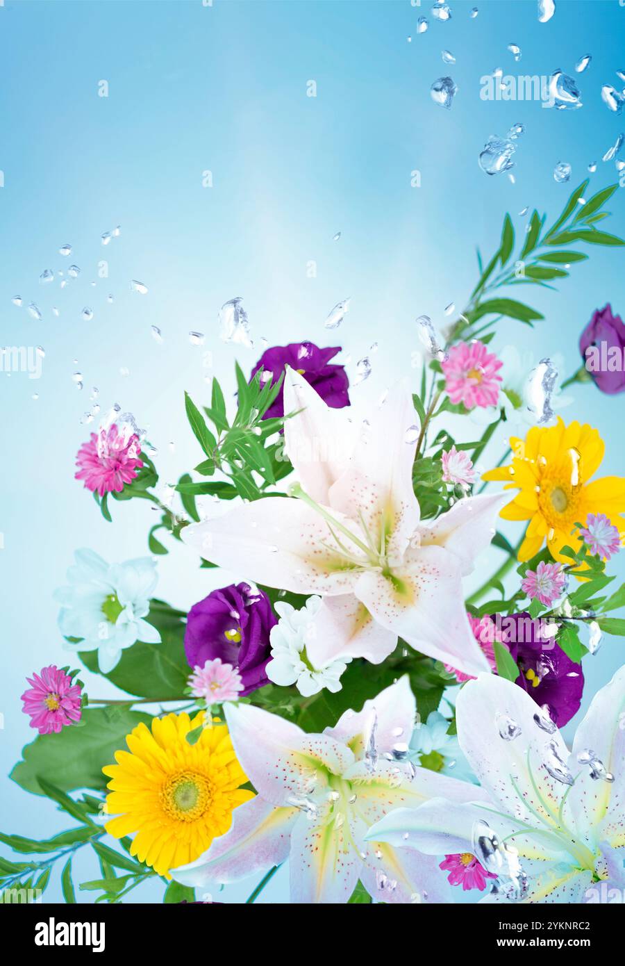 Water lily bouquet hi-res stock photography and images - Alamy