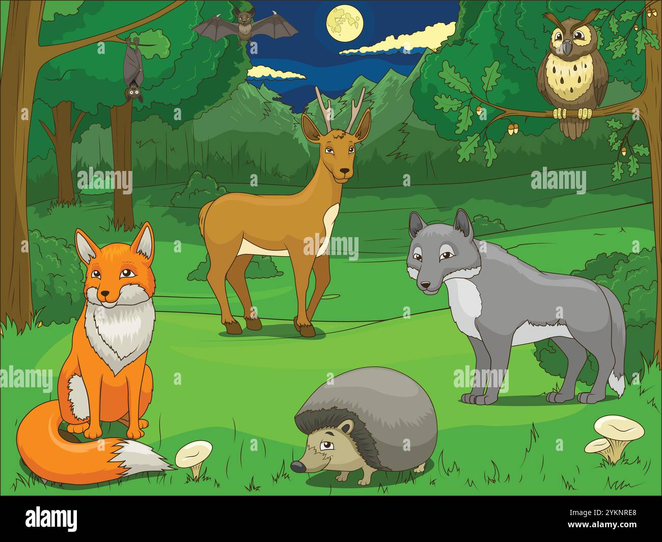 Deciduous forest animals Stock Vector Images - Alamy