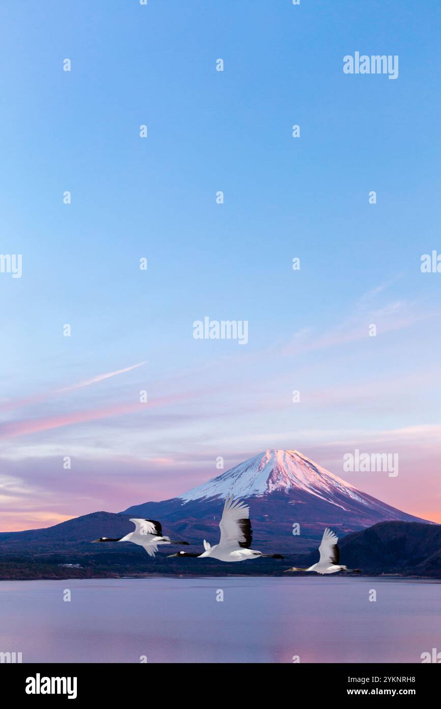 Fuji and Tantou Crane CG Stock Photo - Alamy