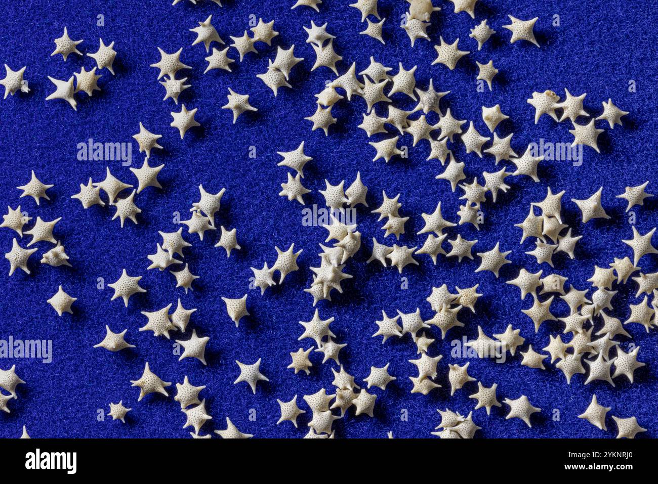 October star hi-res stock photography and images - Alamy