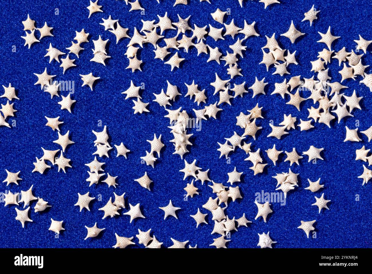 Star sand hi-res stock photography and images - Alamy