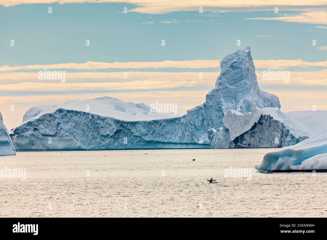 Glacier and Iceberg in the Antarctic Landscape Stock Photo - Alamy