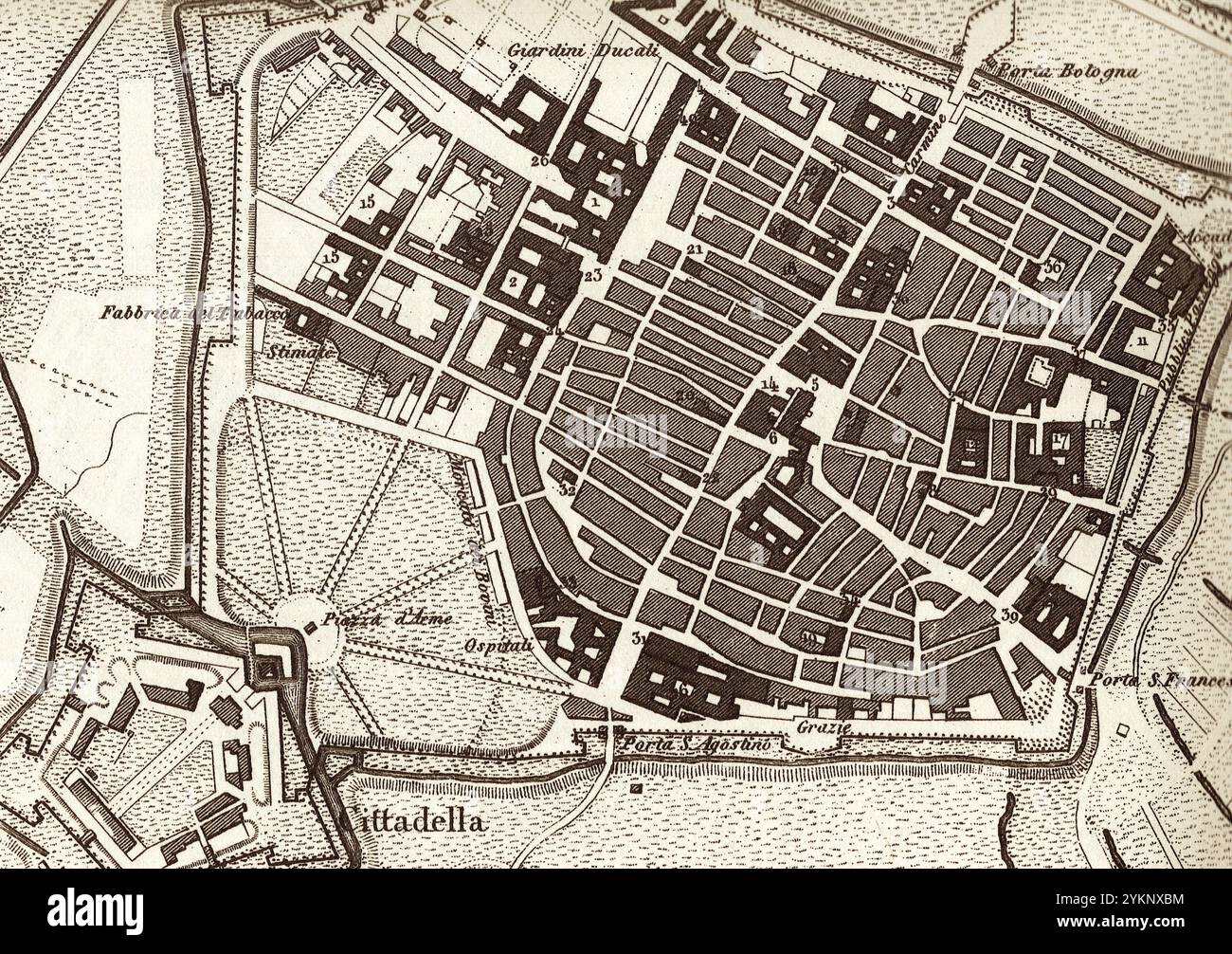 A mid 19th century antique map in sepia showing the city of Modena ...