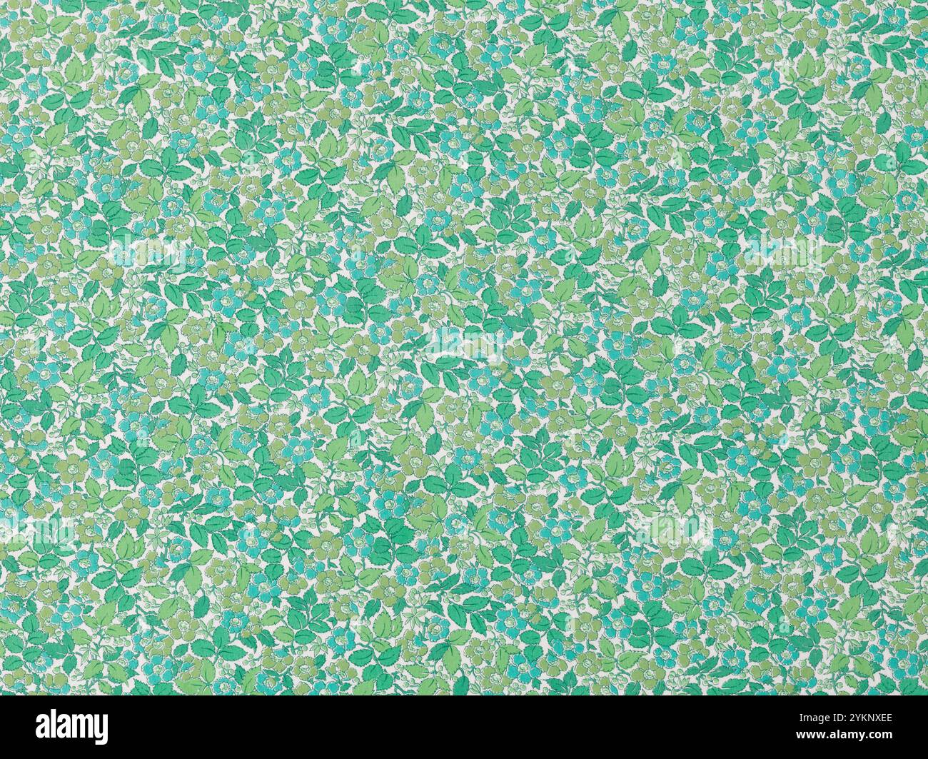 Side 4th green hi-res stock photography and images - Alamy