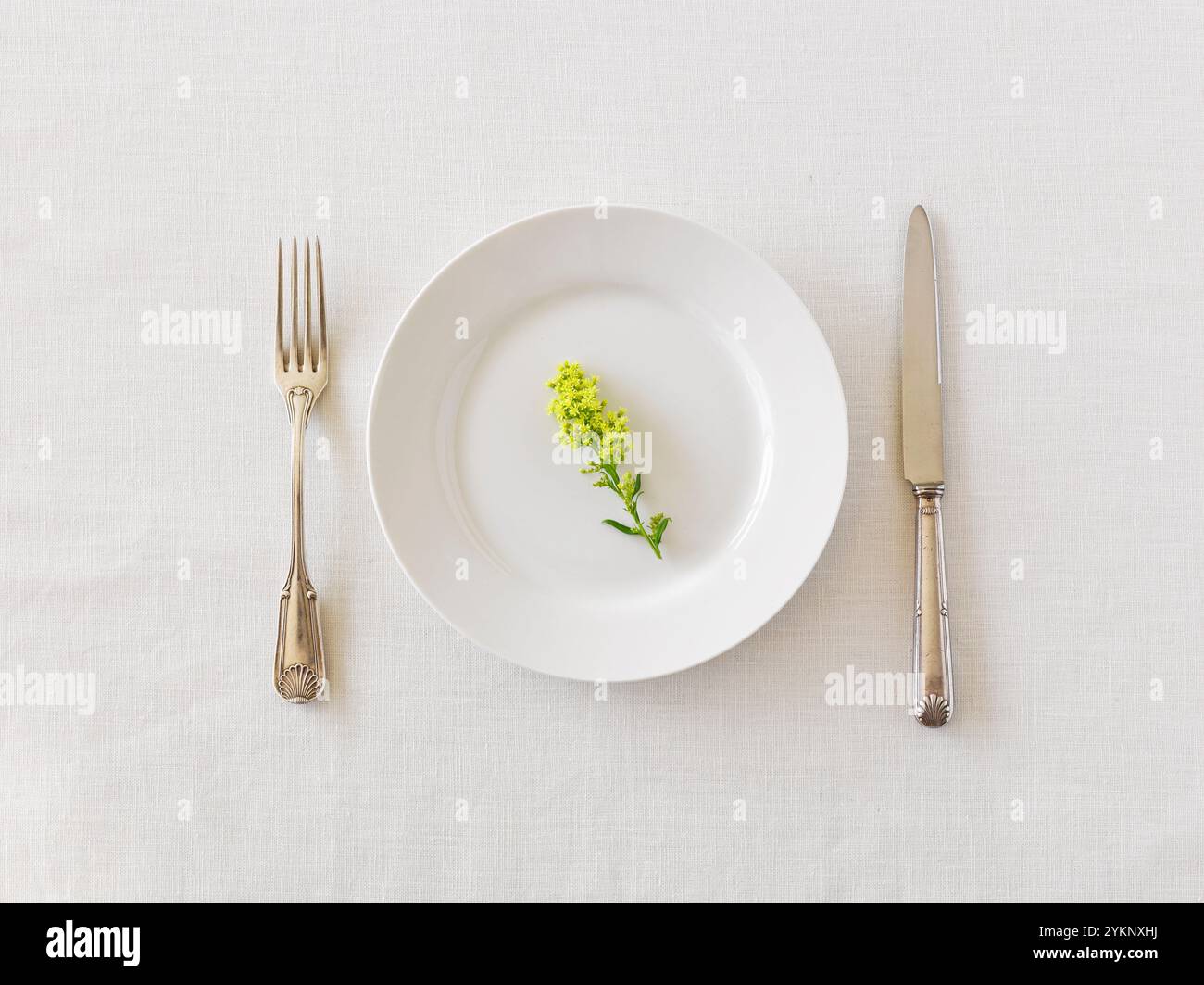 Plate and knife and fork hi-res stock photography and images - Alamy