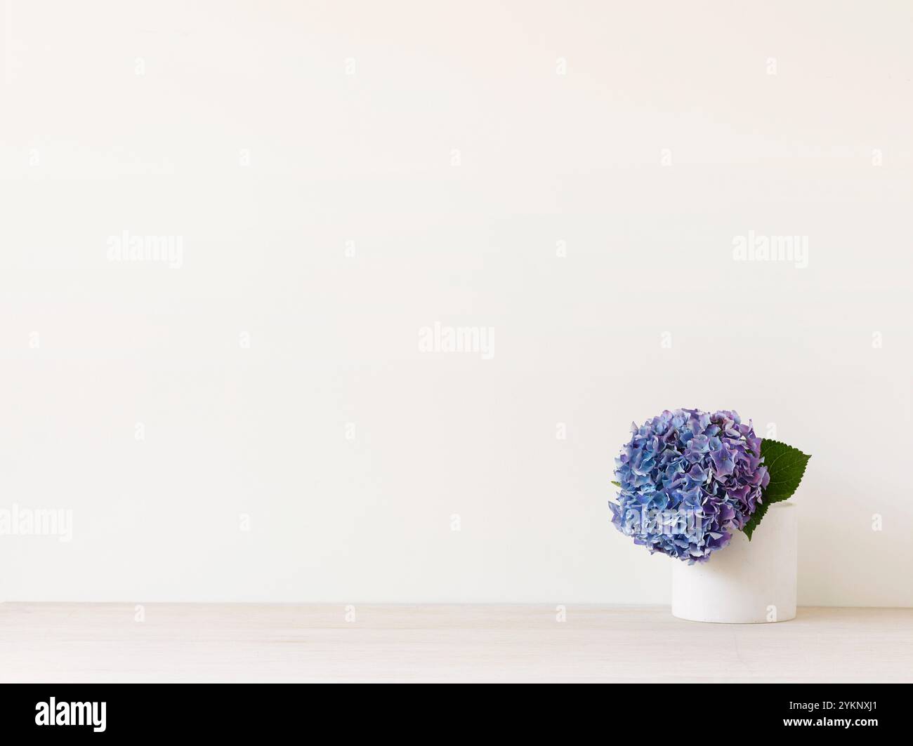 Hydrangea and flower vase Stock Photo - Alamy