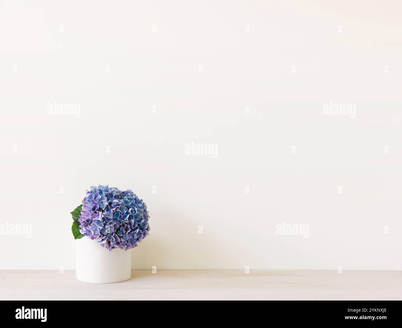 Hydrangea vase hi-res stock photography and images - Alamy