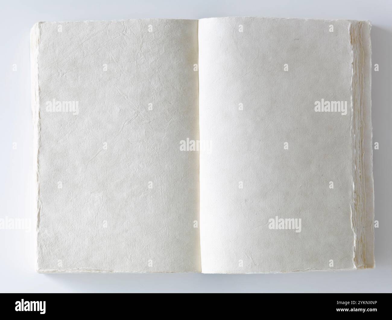 Plain open book Stock Photo - Alamy