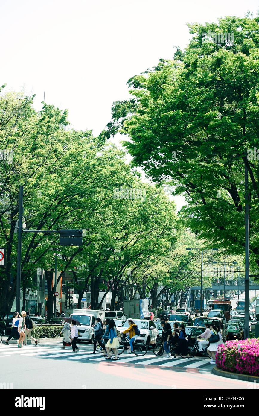 Omotesando road hi-res stock photography and images - Alamy