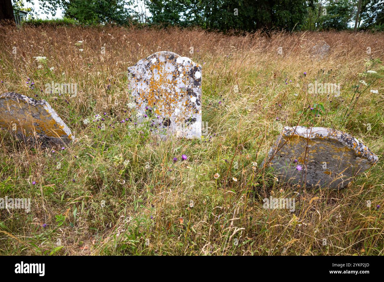 Left to grow hi-res stock photography and images - Alamy