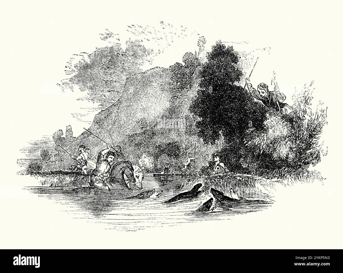 An old engraving of men hunting otters with dogs I medieval Britain ...