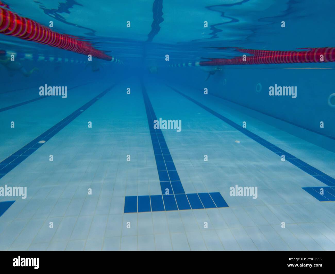 Underwater View of Empty Swimming Pool Lane Stock Photo - Alamy
