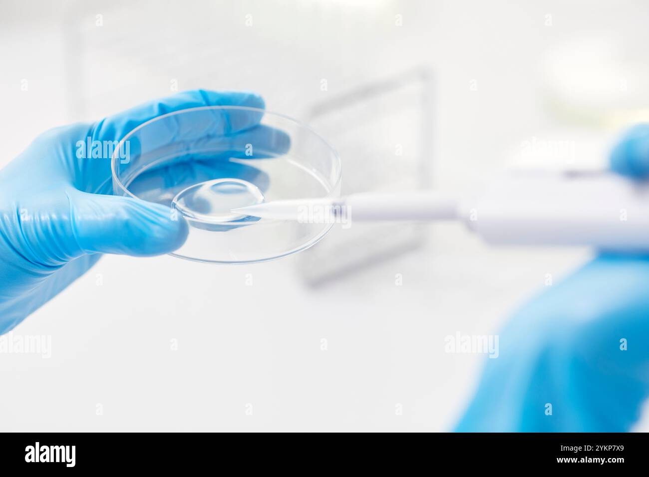 Laboratory experiment methodology hi-res stock photography and images ...