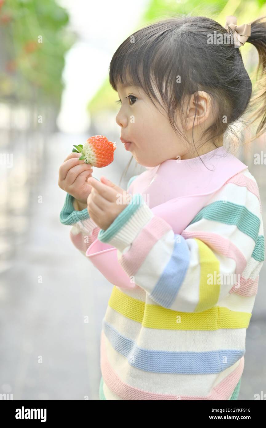 Girl eating strawberry Stock Photo - Alamy