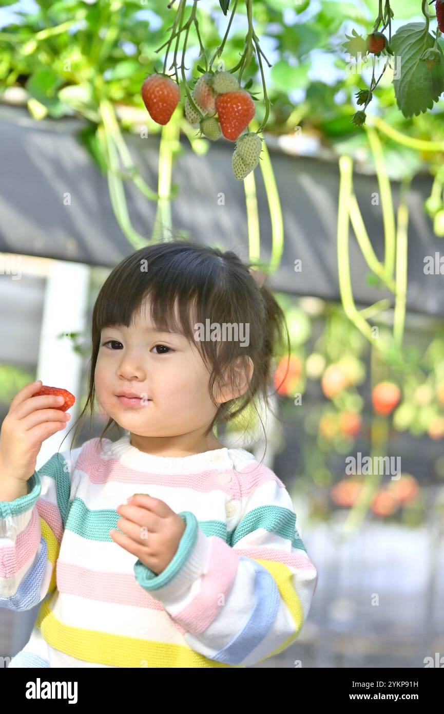 Girl with strawberry hi-res stock photography and images - Alamy