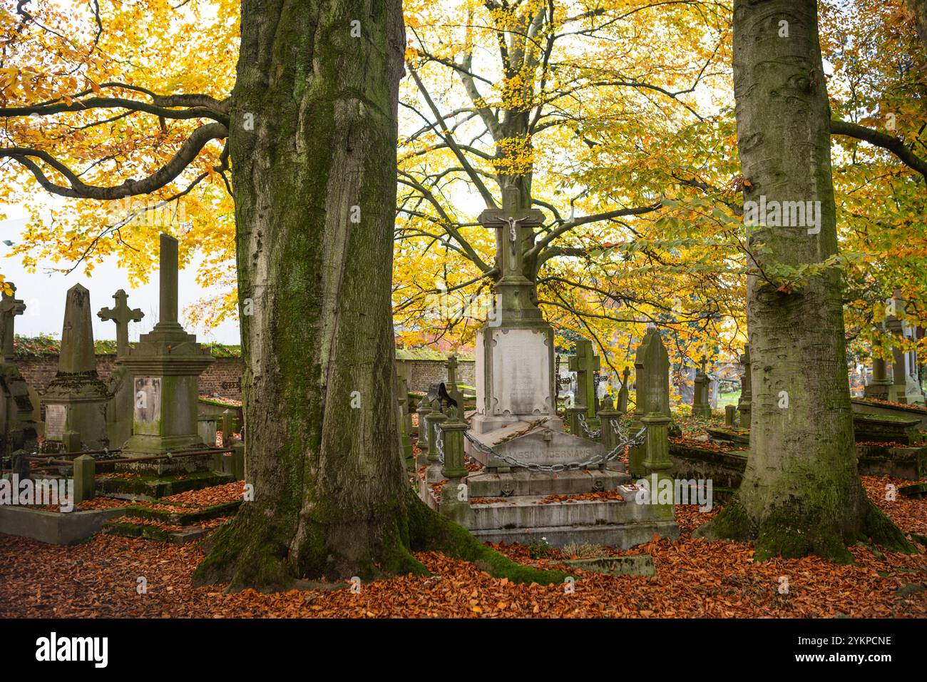 Flemish monuments hi-res stock photography and images - Alamy