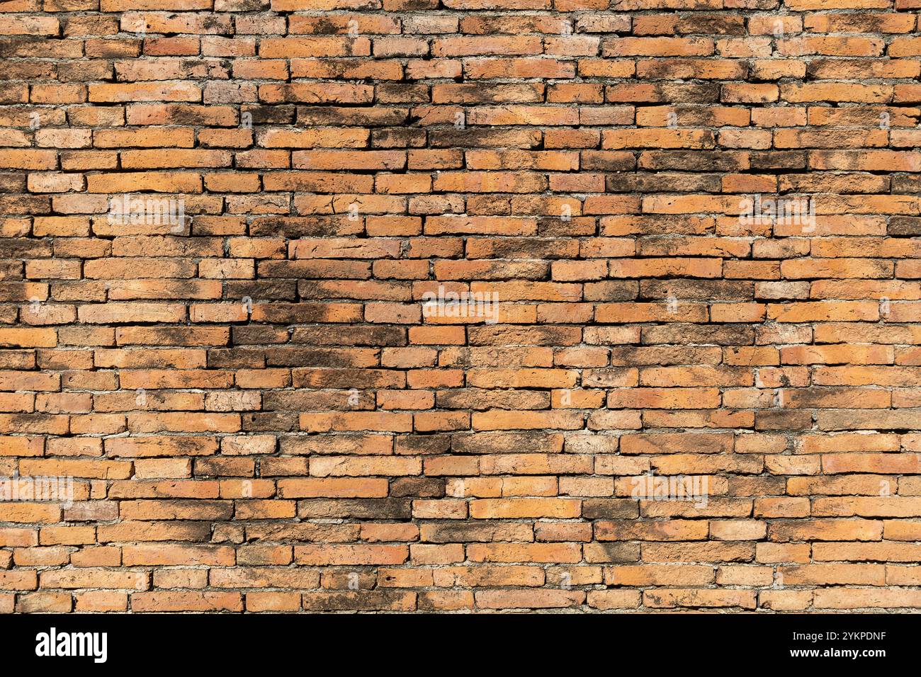 A detailed view of an aged yellow brick wall with weathered patterns ...