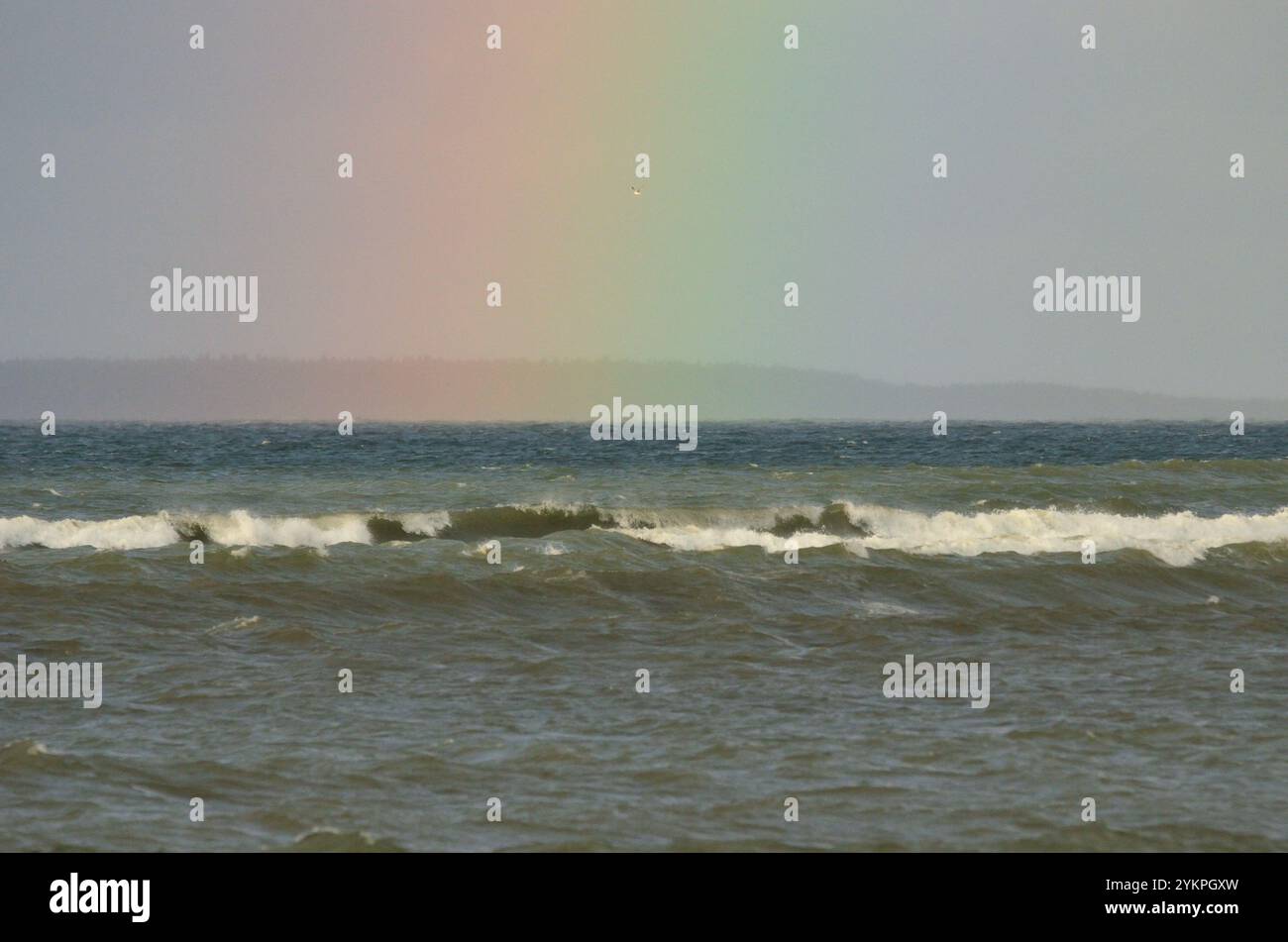 Zoom rainbow hi-res stock photography and images - Alamy