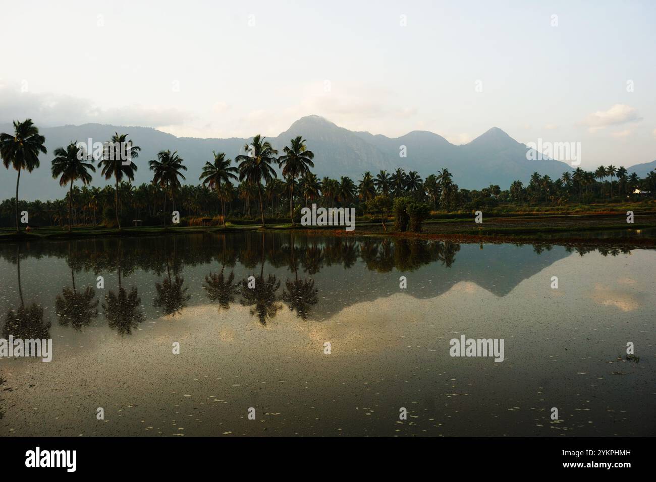 Kollengode hi-res stock photography and images - Alamy