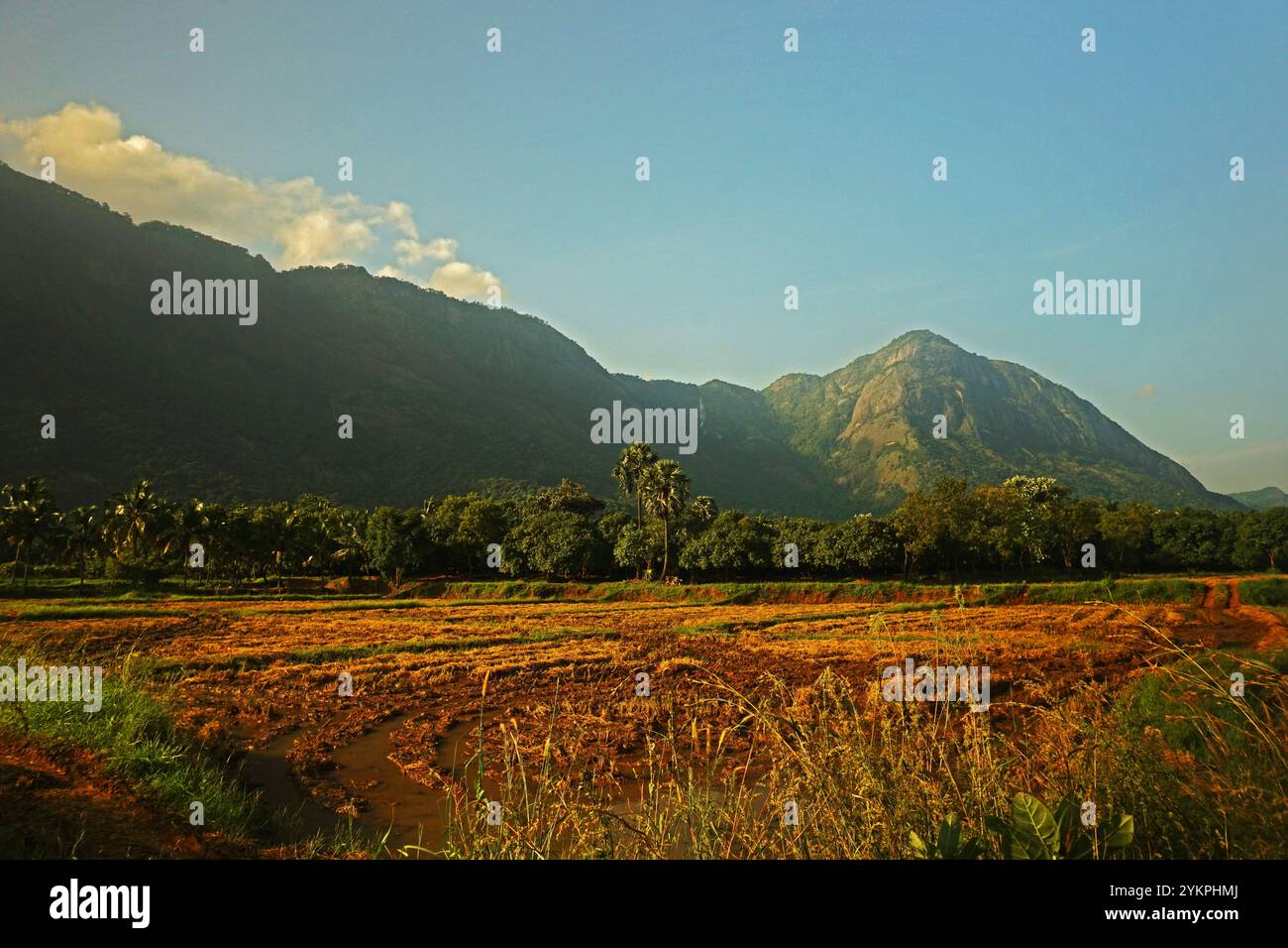 Kollengode hi-res stock photography and images - Alamy