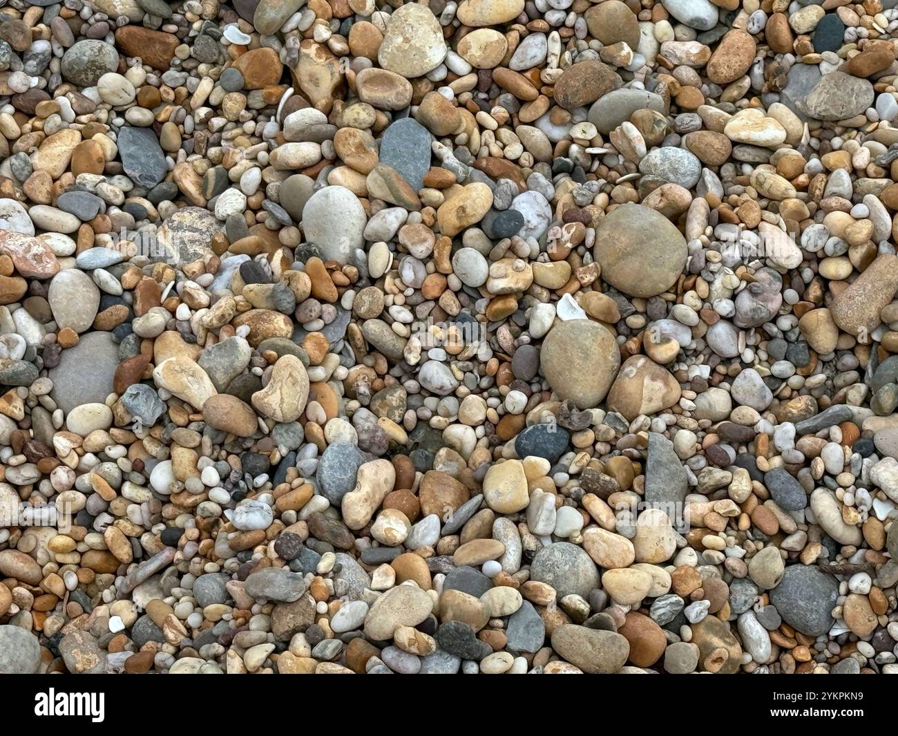 Stones pebbles in beach shore hi-res stock photography and images - Alamy