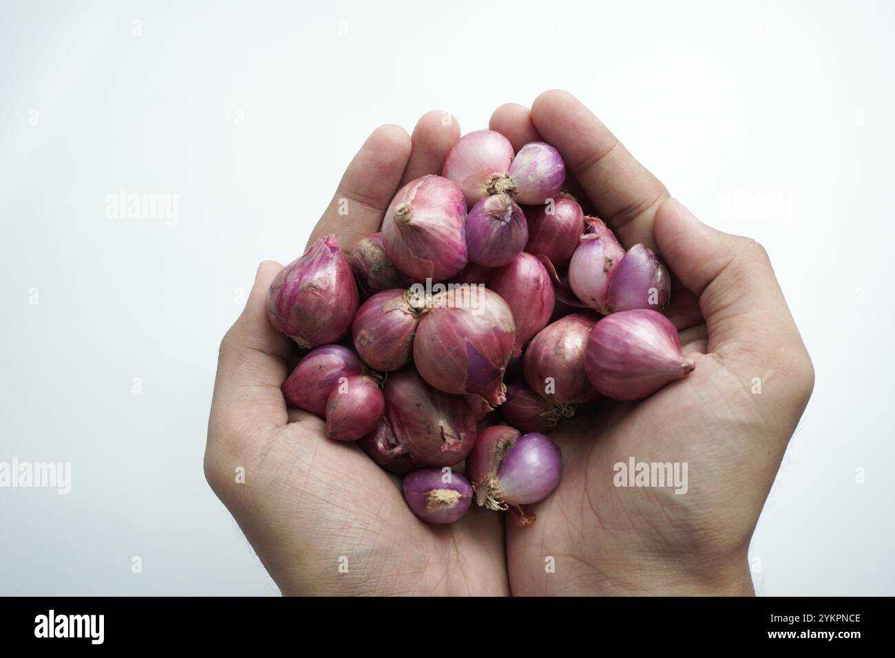 Man farmer holding harvest onions hi-res stock photography and images ...