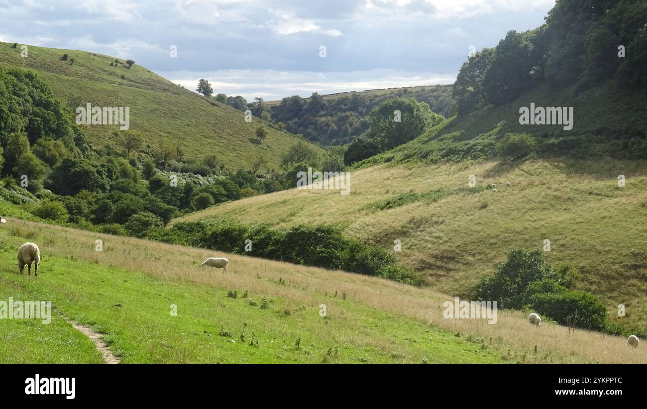 Saltergate hi-res stock photography and images - Alamy