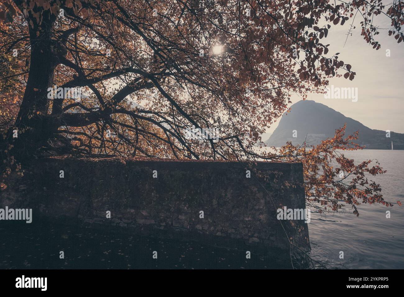 Autumn tree over a wall on Lugano Lake shore with San Salvatore peak ...