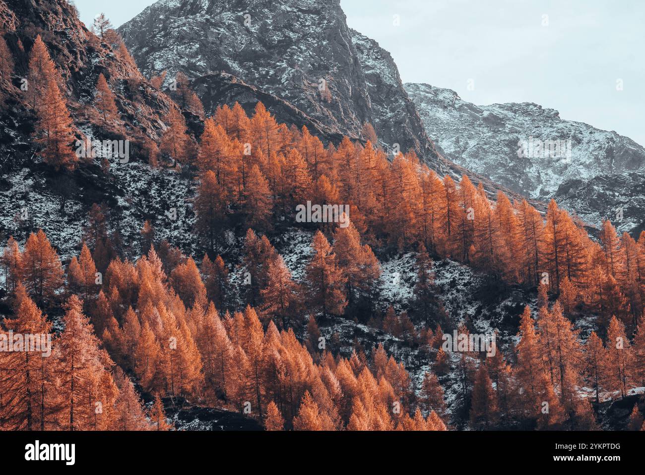 Where Autumn Meets Winter: A Mountain Symphony Stock Photo - Alamy