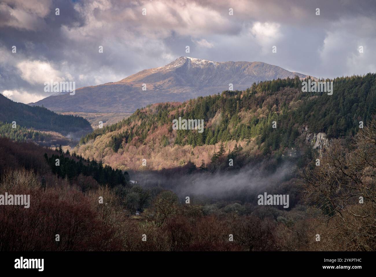 Gwydyr forest and Moel Siabod in winter, Snowdonia National Park, North ...