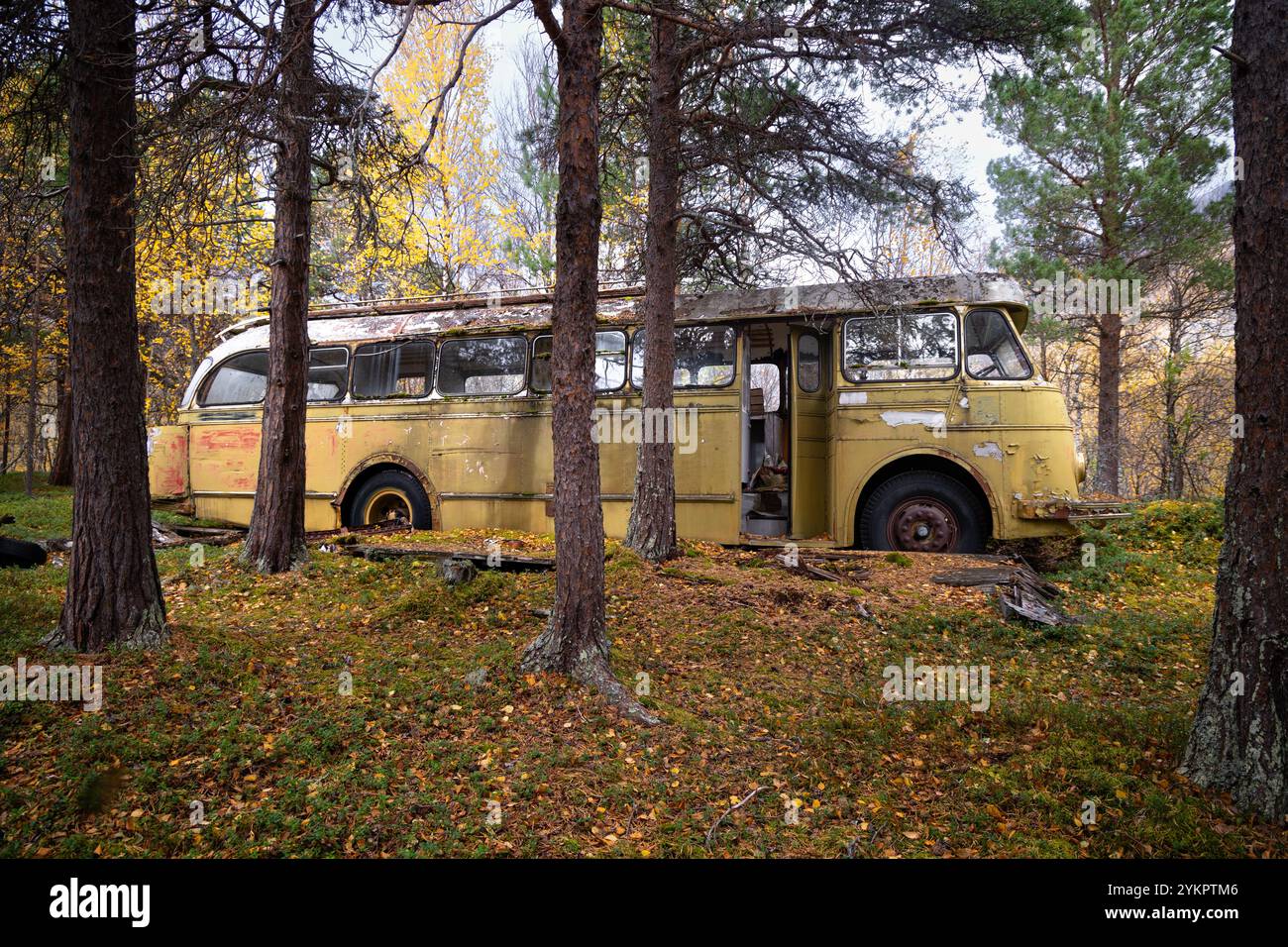 An old, abandoned, rusty bus left in the forest of Northern Norway ...