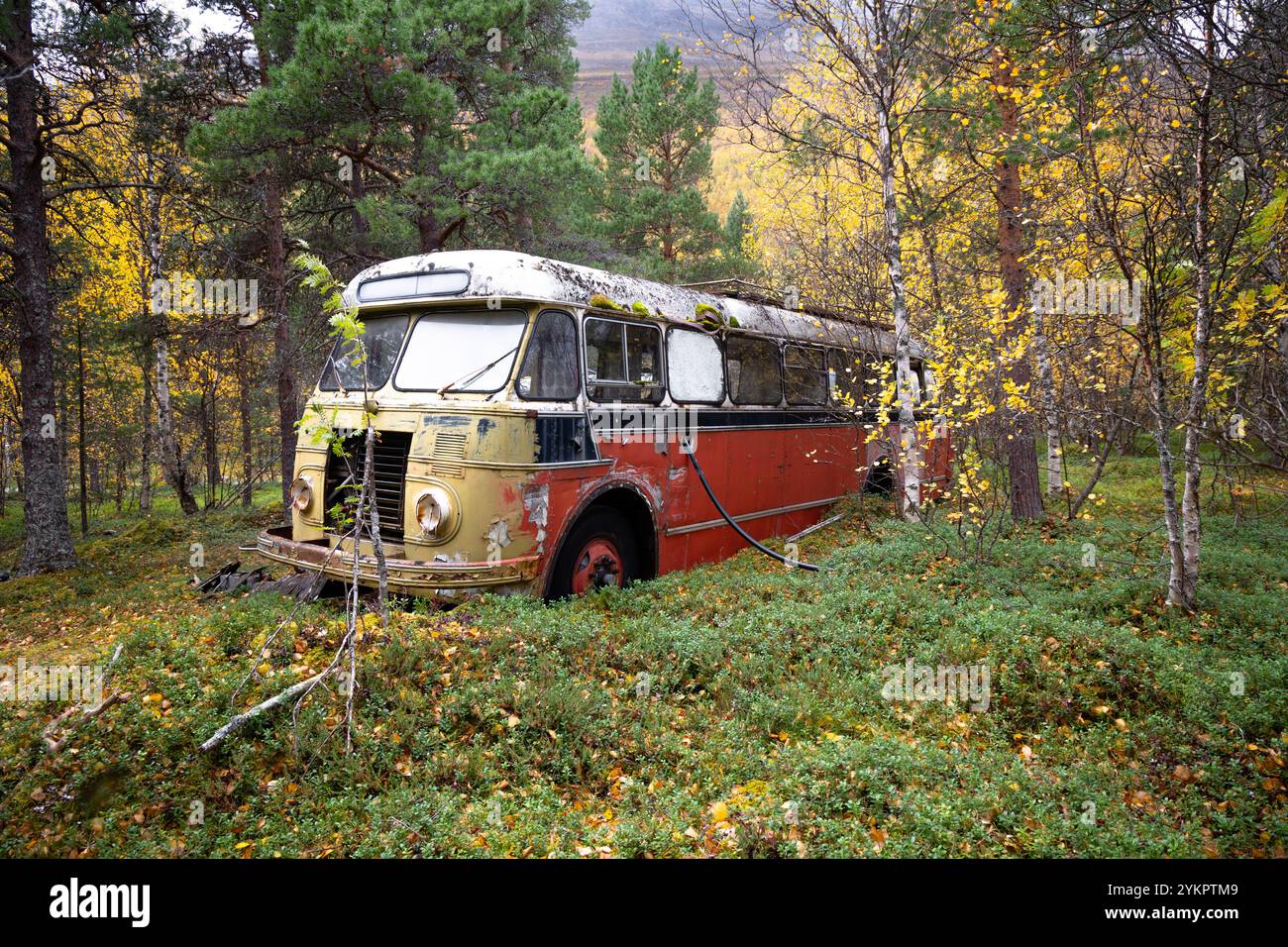 An old, abandoned, rusty bus left in the forest of Northern Norway ...