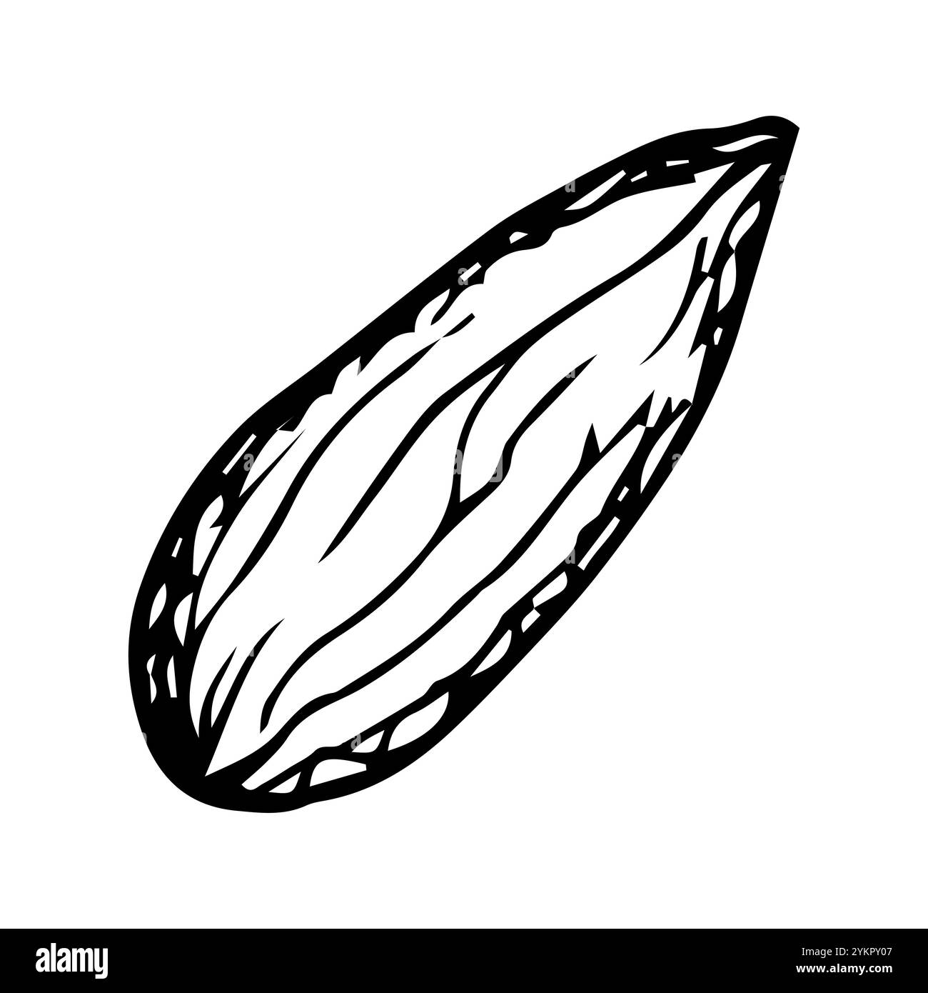Hand drawn vector clip art of single cardamom pod, almond kernel with ...
