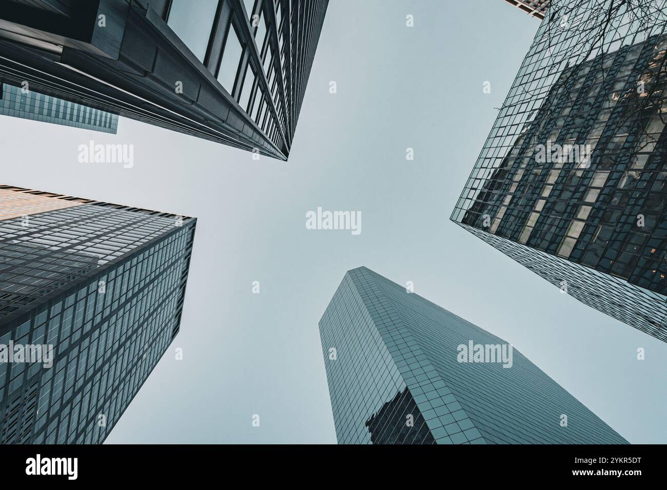 High rise buildings in New York, USA take from street level looking up ...