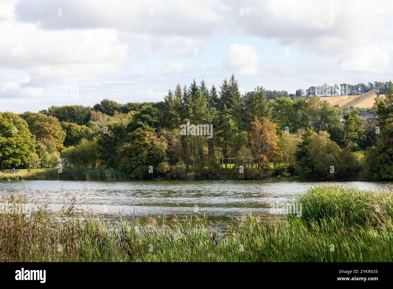 Forfar park hi-res stock photography and images - Alamy