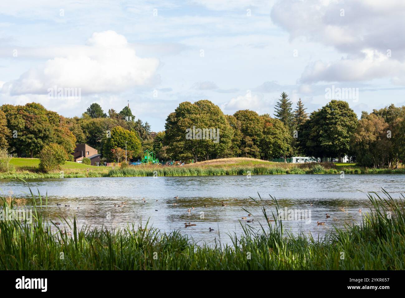 Forfar park hi-res stock photography and images - Alamy