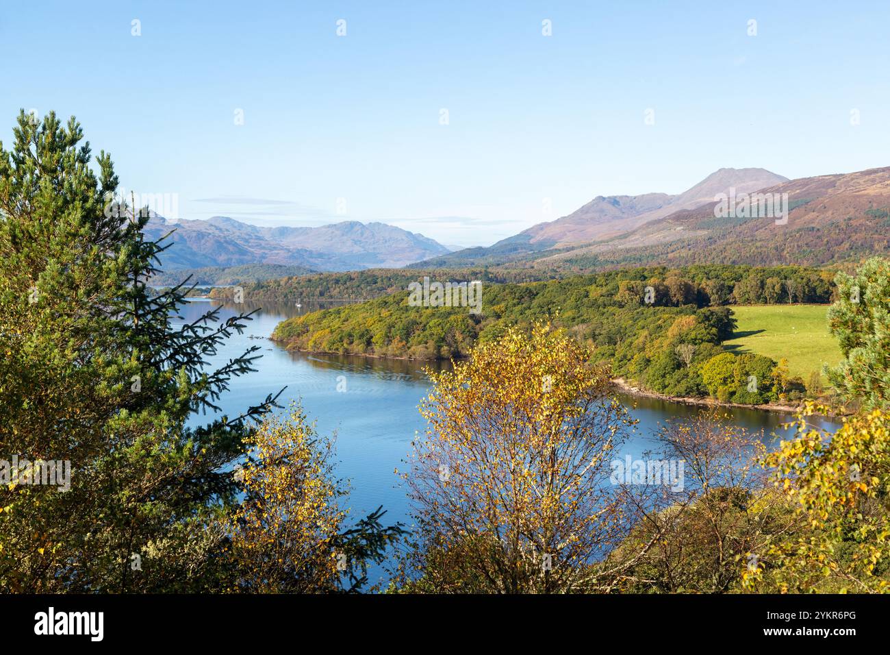 Millennium forest trail hi-res stock photography and images - Alamy