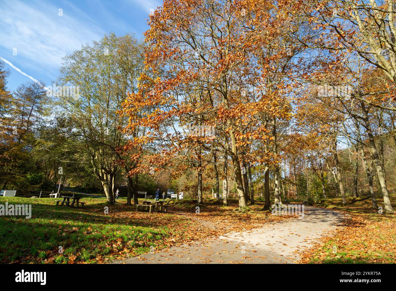 The car park and start of walks at Moel Famau Country Park, Mold, Wales ...