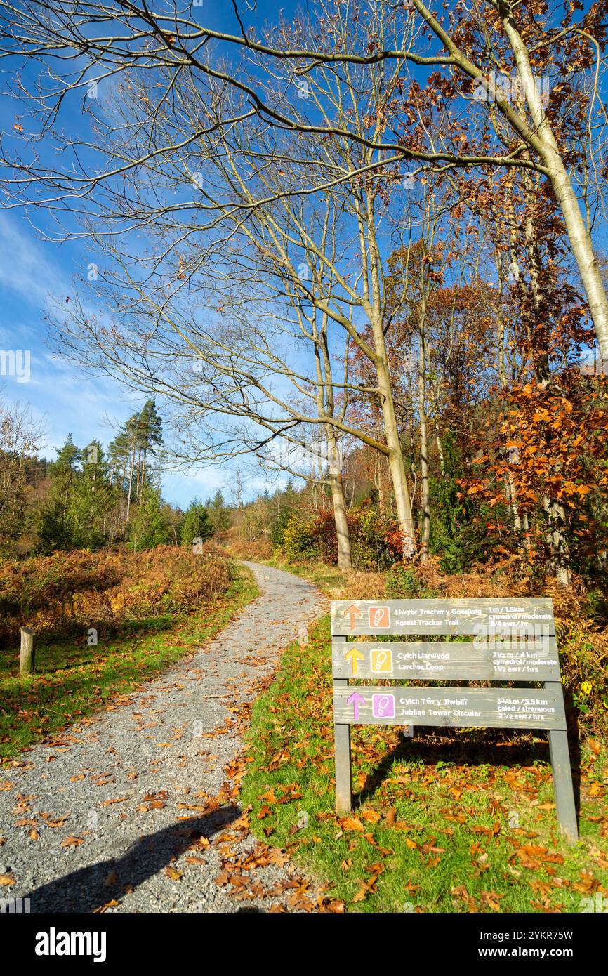 The car park and start of walks at Moel Famau Country Park, Mold, Wales ...