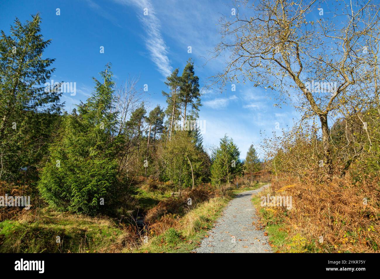 The car park and start of walks at Moel Famau Country Park, Mold, Wales ...