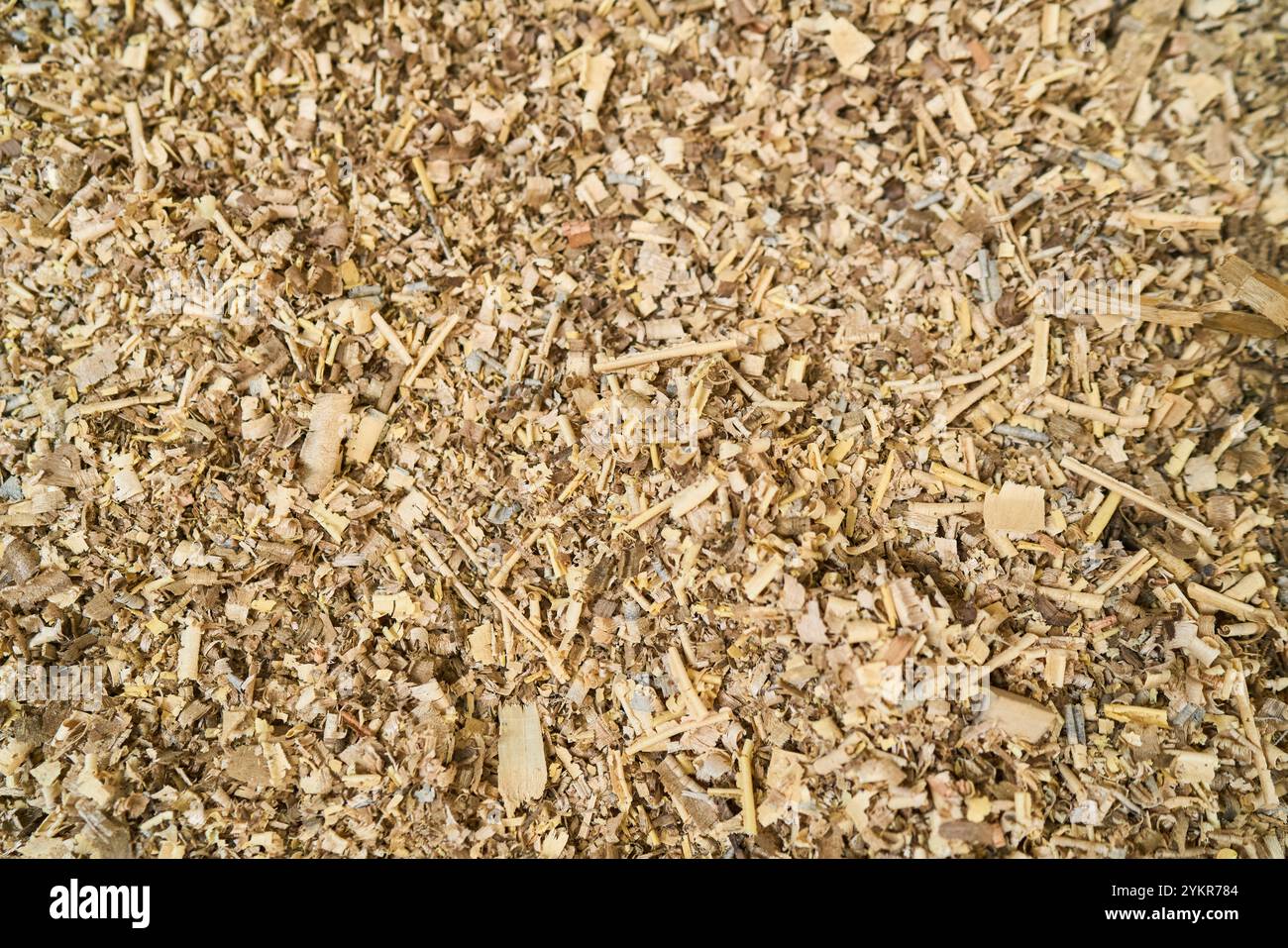 Detailed image capturing the texture of wood shavings found in a ...