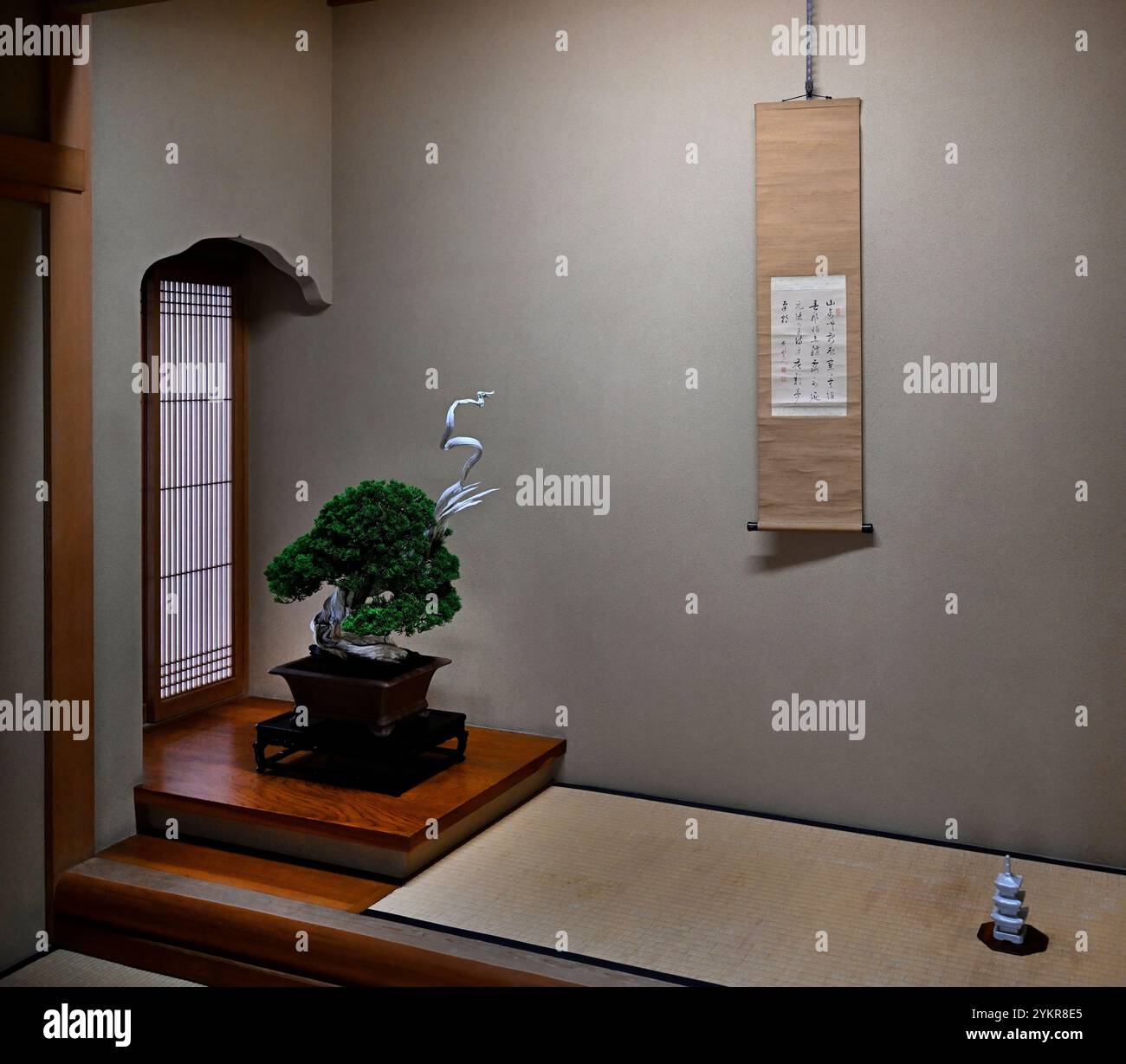 Bonsai Museum Tokyo Stock Photo - Alamy